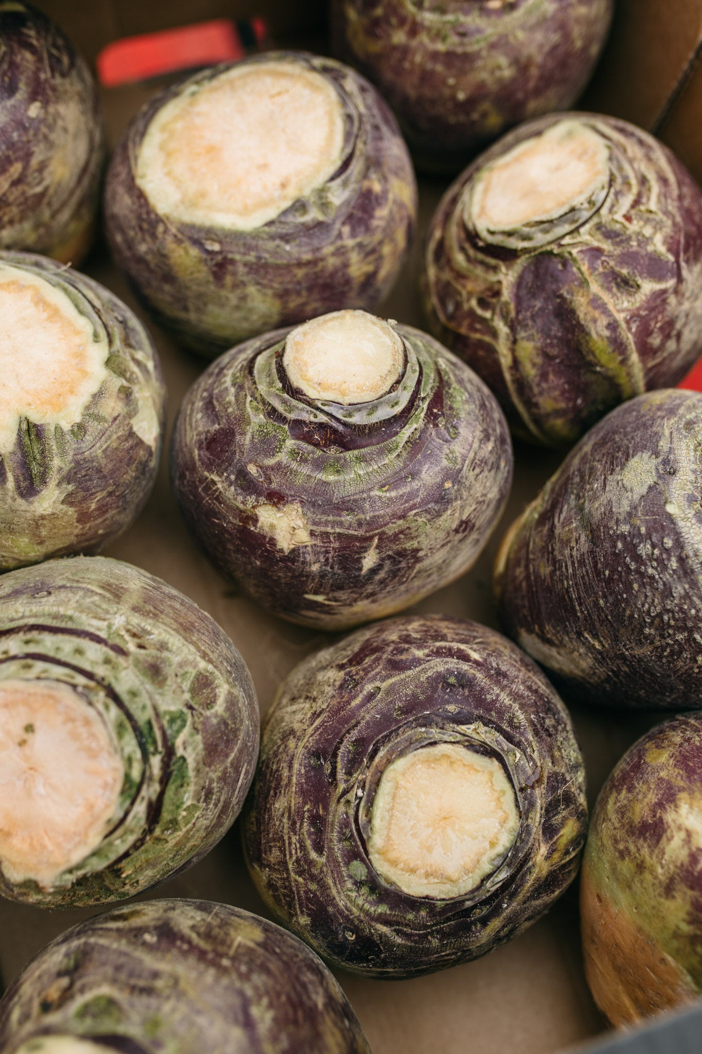 Fresh Vegetable Delivery | Online Fruit & Veg