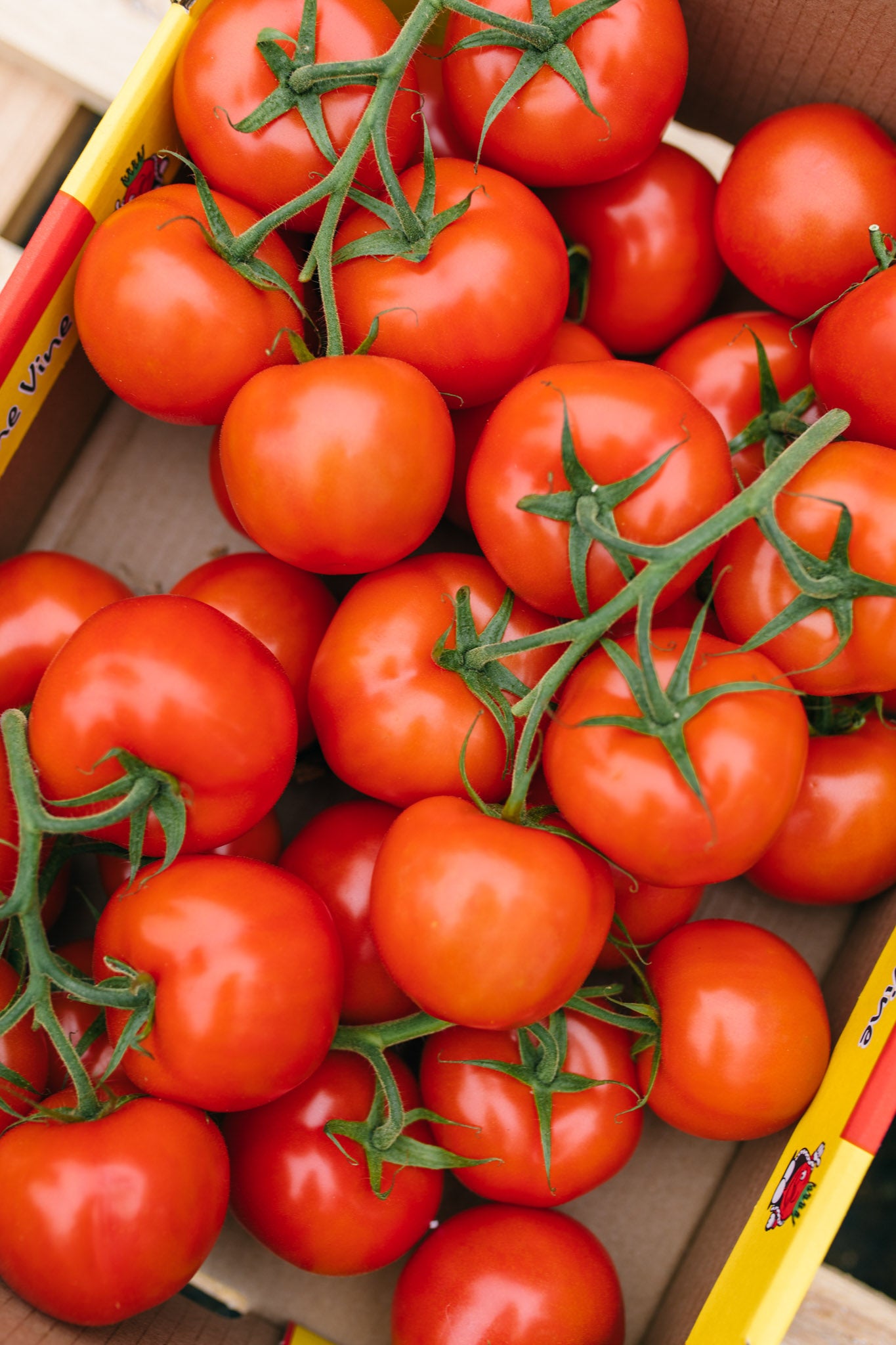 Fresh Vine Tomatoes Delivery | Online Fruit & Veg