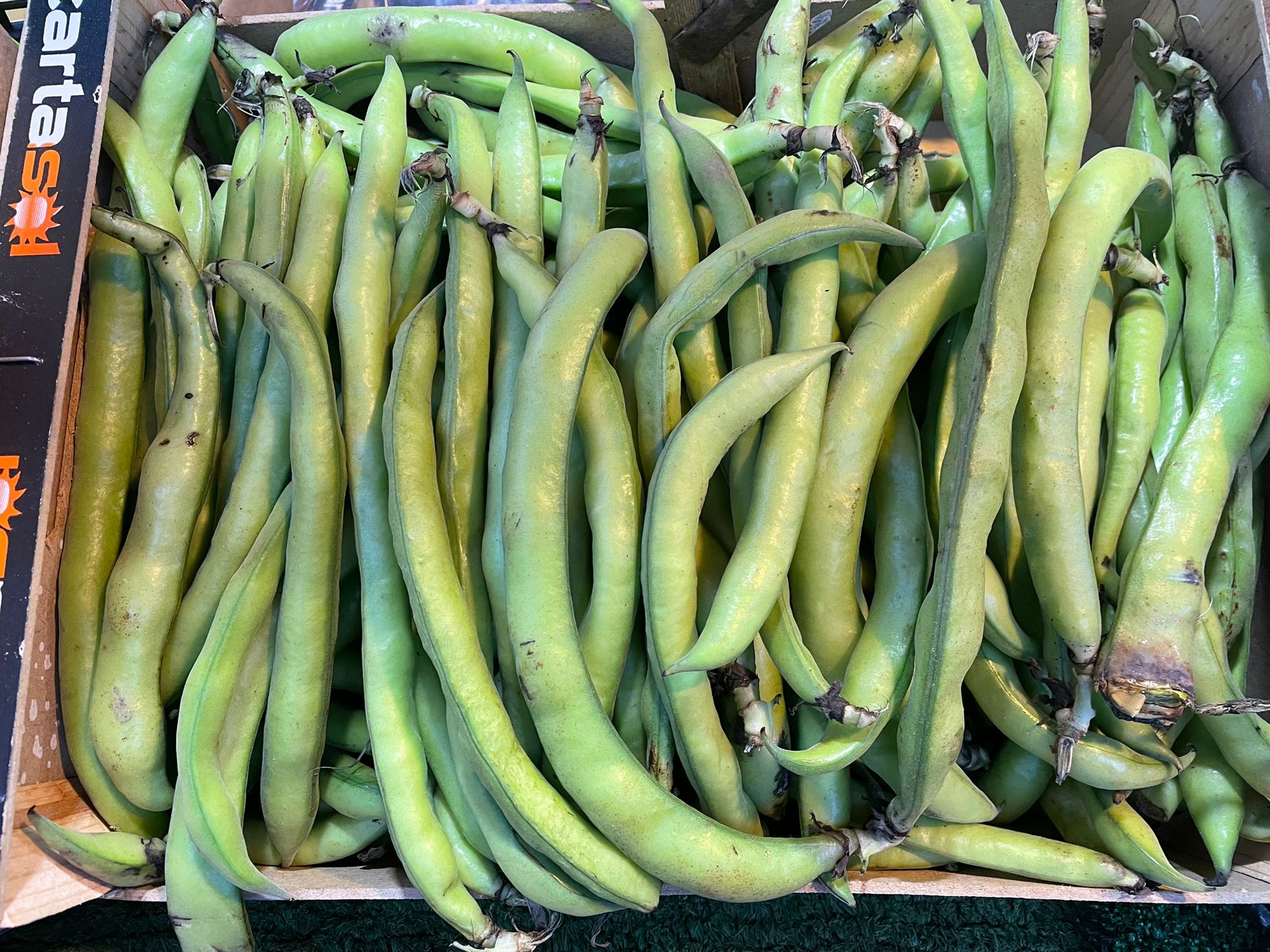 Broad Beans | Online Fruit & Veg
