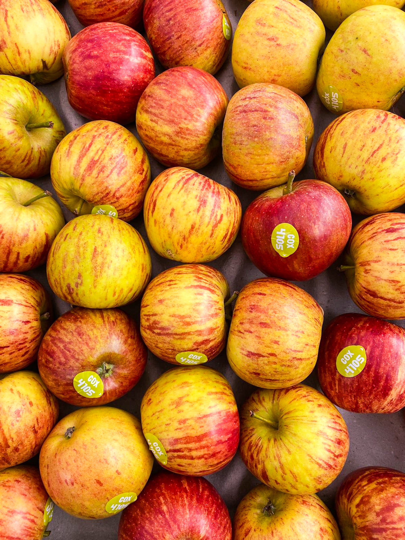 Fresh Coxs Apples Delivery | Online Fruit & Veg